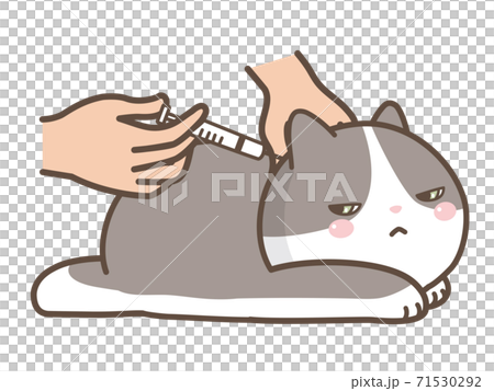 A cat veterinary clinic that gets an injection - Stock Illustration ...