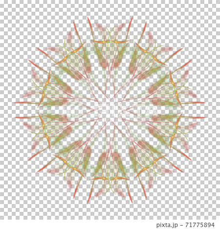 Beautiful decagon (transparent PNG background)... - Stock Illustration ...