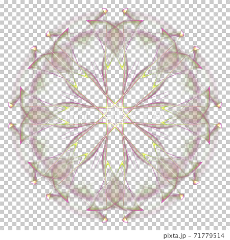 Beautiful octagon (transparent PNG background)... - Stock Illustration ...