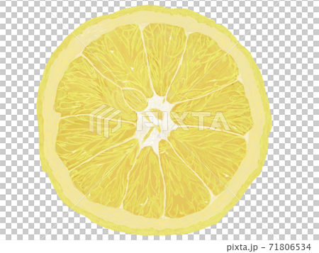 Lemon cross section illustration - Stock Illustration [71806534] - PIXTA