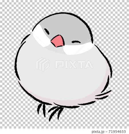 Sleepy Java Sparrow Silver - Stock Illustration [71954633] - PIXTA