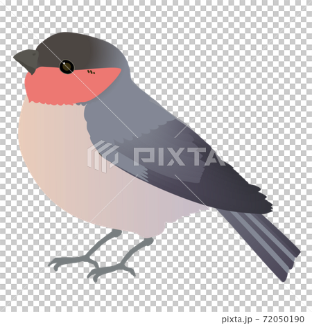 Vector illustration of cute little bird lie - Stock Illustration ...