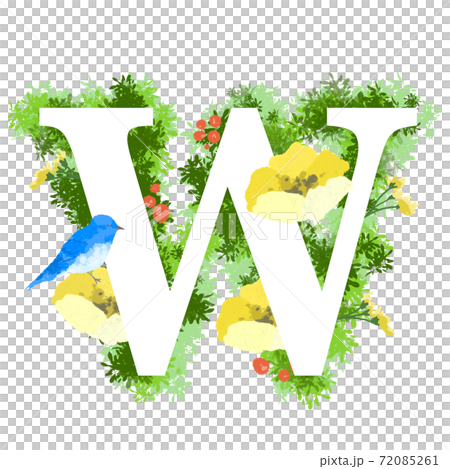 English font W with illustrations of... - Stock Illustration [72085261 ...