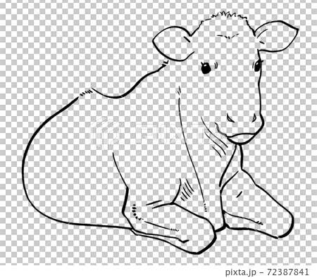 Hand-drawn illustration of a sitting cow Line... - Stock Illustration ...
