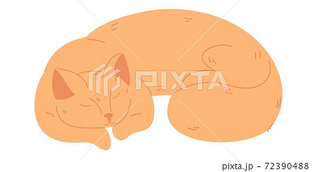 Peach cat sleeping isolated on white. Cartoon...のイラスト素材 [72390488] - PIXTA