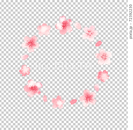 Hand-painted watercolor cherry blossom round frame - Stock Illustration ...