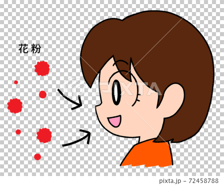 Mechanism of hay fever and allergies Women who... - Stock Illustration ...