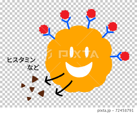 Mechanism of pollinosis / allergy Mast cells... - Stock Illustration ...