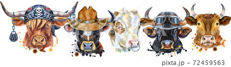 Border from watercolor portraits of bulls for...のイラスト素材 [72459563] - PIXTA