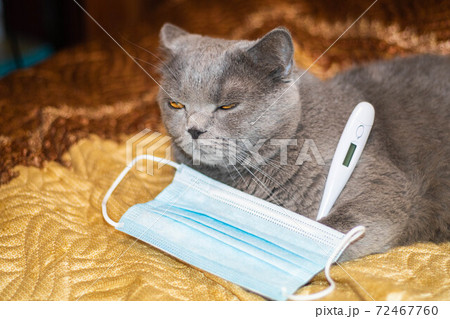 Sick Kitty Thermometer