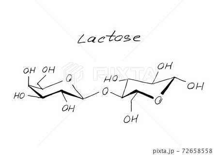Lactose Molecule Structure Understanding Lactose And The