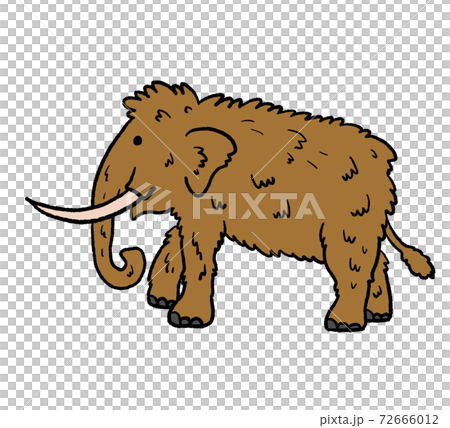 Illustration of Naumann elephant - Stock Illustration [72666012] - PIXTA