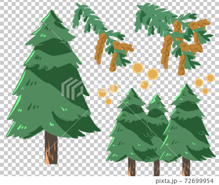 Sugi tree (no line) - Stock Illustration [72699954] - PIXTA