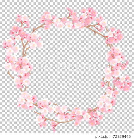 Gorgeous cherry blossom circle frame vector... - Stock Illustration ...