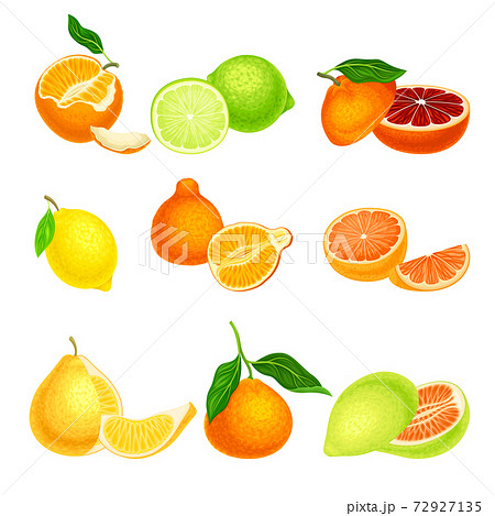 Hesperidium Fruit