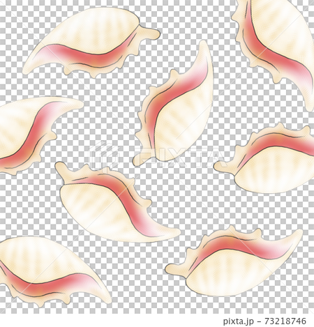 Conch shell pattern or illustration - Stock Illustration [73218746] - PIXTA