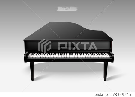 Grand Piano Front View