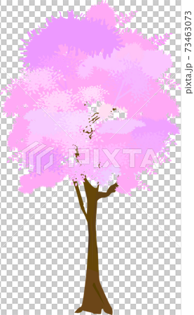 Cute cherry tree - Stock Illustration [73463073] - PIXTA
