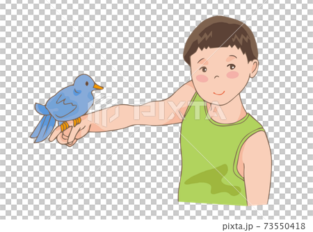 Boy with a bird in his hand - Stock Illustration [73550418] - PIXTA