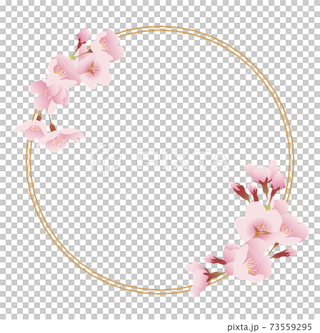 Cherry blossoms and gold frame (round, circle) - Stock Illustration ...