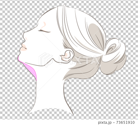 [With hair / upward] Comparison of chin lines /... - Stock Illustration ...