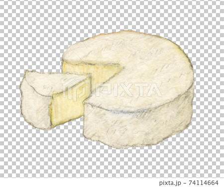 Camembert cheese hand-painted watercolor pencil... - Stock Illustration ...