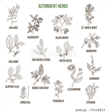 Astringent Food