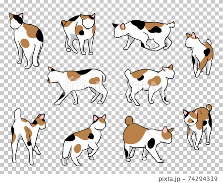 Osanpo cat Bobtail calico cat set - Stock Illustration [74294319] - PIXTA