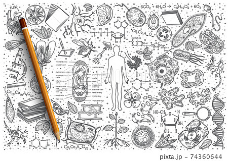 Science Drawing Ideas Biology