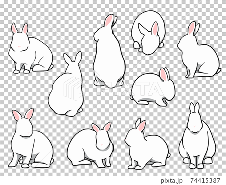 Sitting rabbit short ears white set - Stock Illustration [74415387] - PIXTA