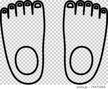 Instep: Human body parts illustration - Stock Illustration [74475868 ...