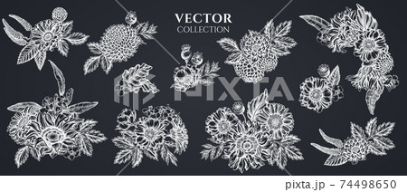 Flower bouquet of chalk poppy flower, gerbera,...のイラスト素材 [74498650] - PIXTA