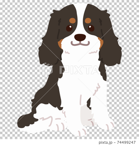 Simple and cute tri-color cavalier king Charles... - Stock Illustration ...
