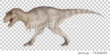 Tyrannosaurus Rex Hairless, a large carnivorous... - Stock Illustration ...