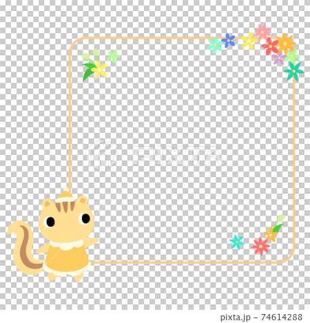 squirrel, squirrels, frame - Stock Illustration [74614288] - PIXTA