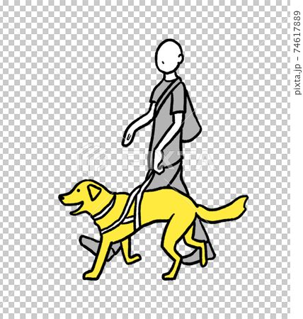 Guide dog training dog illustration - Stock Illustration [74617889] - PIXTA