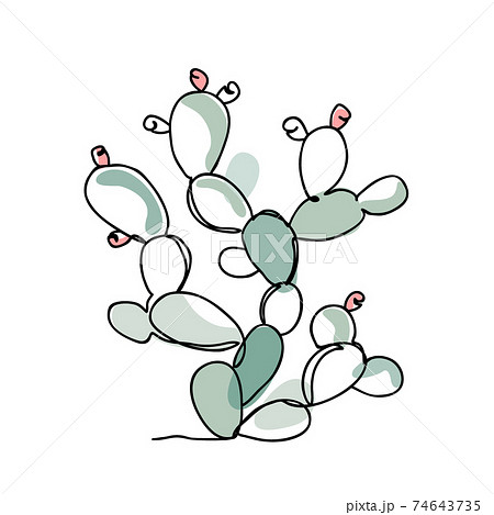 Prickly Pear Line Drawing