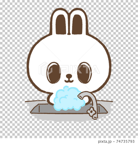 Rabbit washing hands - Stock Illustration [74735793] - PIXTA