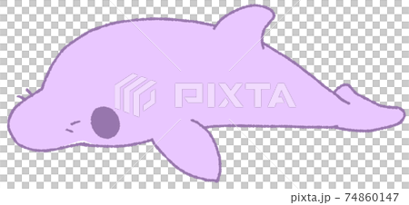 Bearded dolphin child (purple) - Stock Illustration [74860147] - PIXTA