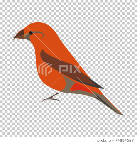 Isuka vector illustration - Stock Illustration [74894587] - PIXTA