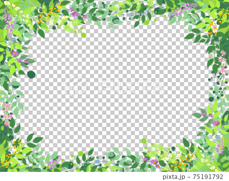 Simple fresh green frame background _ with... - Stock Illustration ...