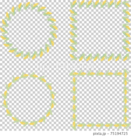 Mimosa fusa acacia frame spring flower plant... - Stock Illustration ...