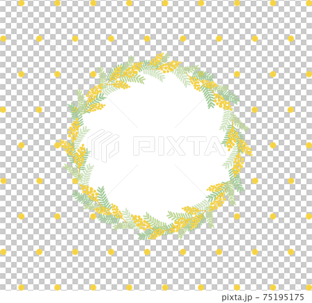 Mimosa fusa acacia frame spring flower plant... - Stock Illustration ...