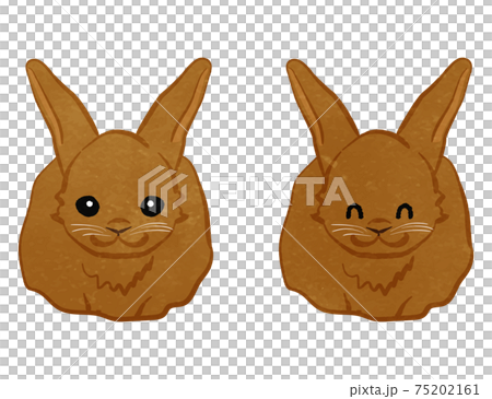Rabbit / Mini Rex / Front - Stock Illustration [75202161] - PIXTA