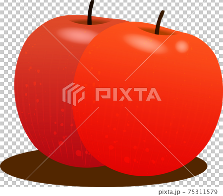 Simple and cute apple illustration - Stock Illustration [75311579] - PIXTA