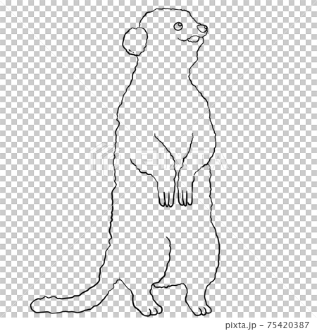 Simple meerkat line art illustration - Stock Illustration [75420387 ...