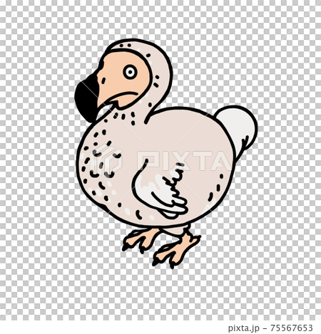 Dodo (brown) - Stock Illustration [75567653] - PIXTA