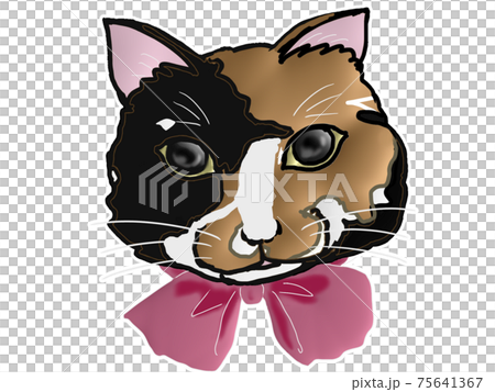 Crazy calico cat - Stock Illustration [75641367] - PIXTA