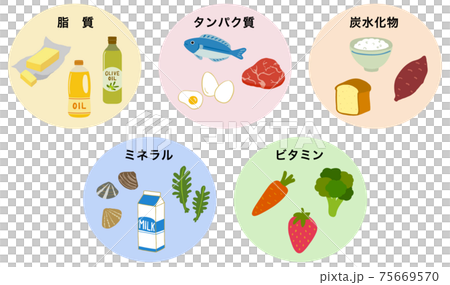 Five major nutrient foods - Stock Illustration [75669570] - PIXTA