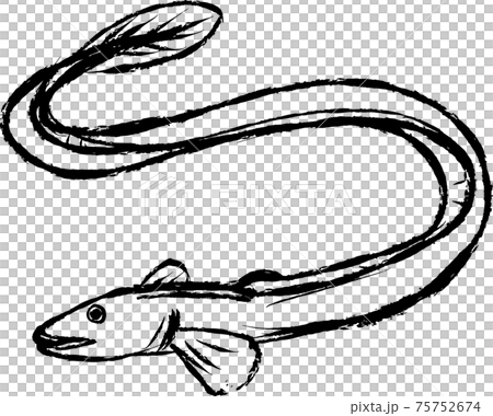 Eel drawn with ink - Stock Illustration [75752674] - PIXTA